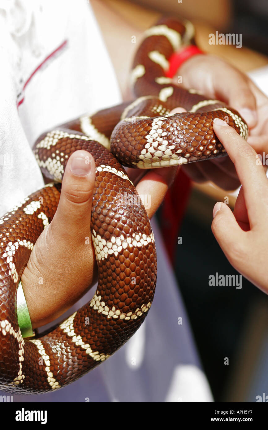 Child snake hi-res stock photography and images - Alamy