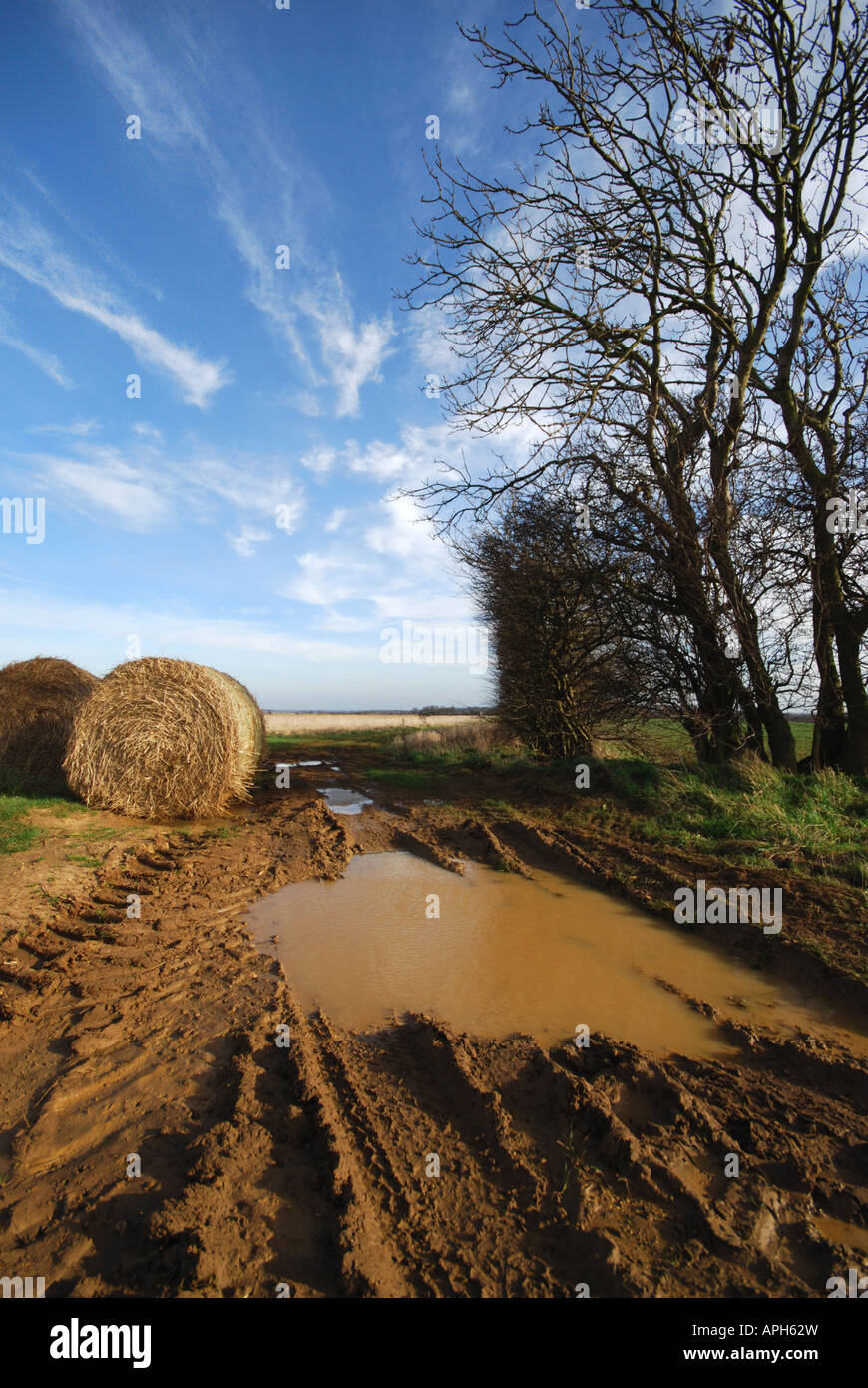 Muddy farmland hi-res stock photography and images - Alamy