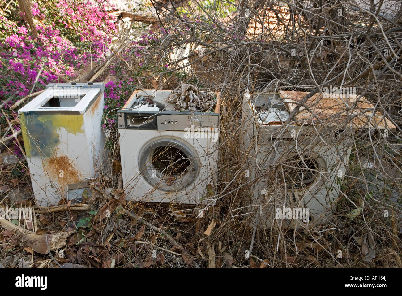 Spain, Canary Islands, La Gomera, Old washing machines which were ...