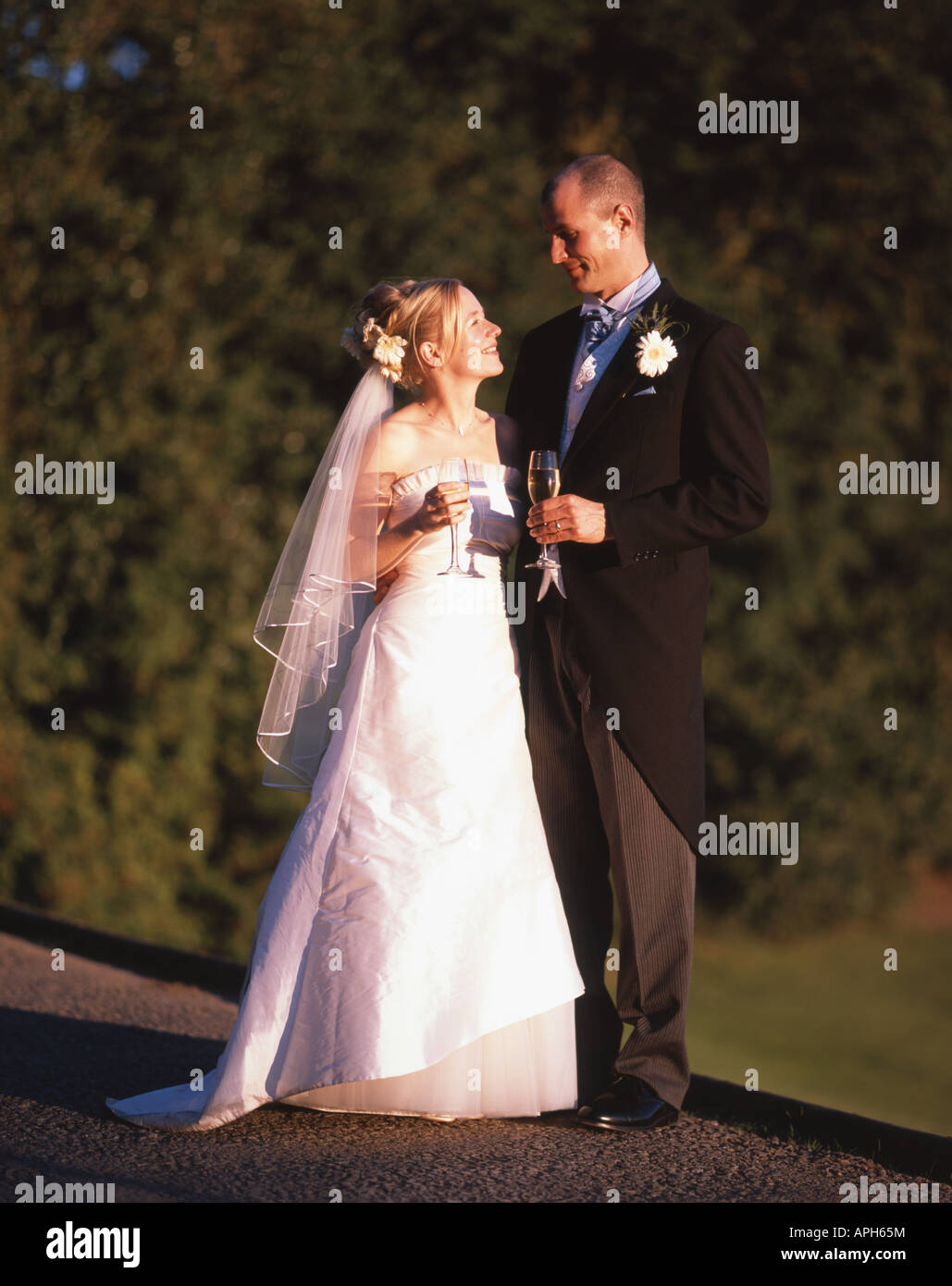 Bride and Groom at wedding reception Stock Photo - Alamy