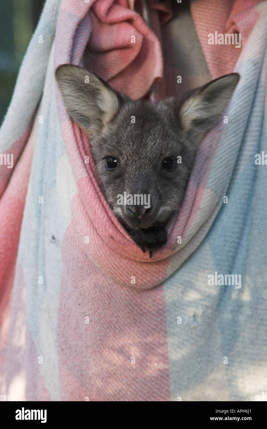 Barrow island euro hi-res stock photography and images - Alamy
