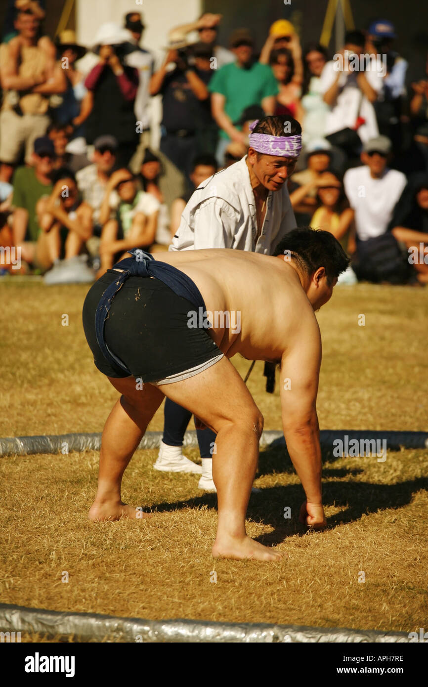 Sumo festival hi-res stock photography and images - Alamy