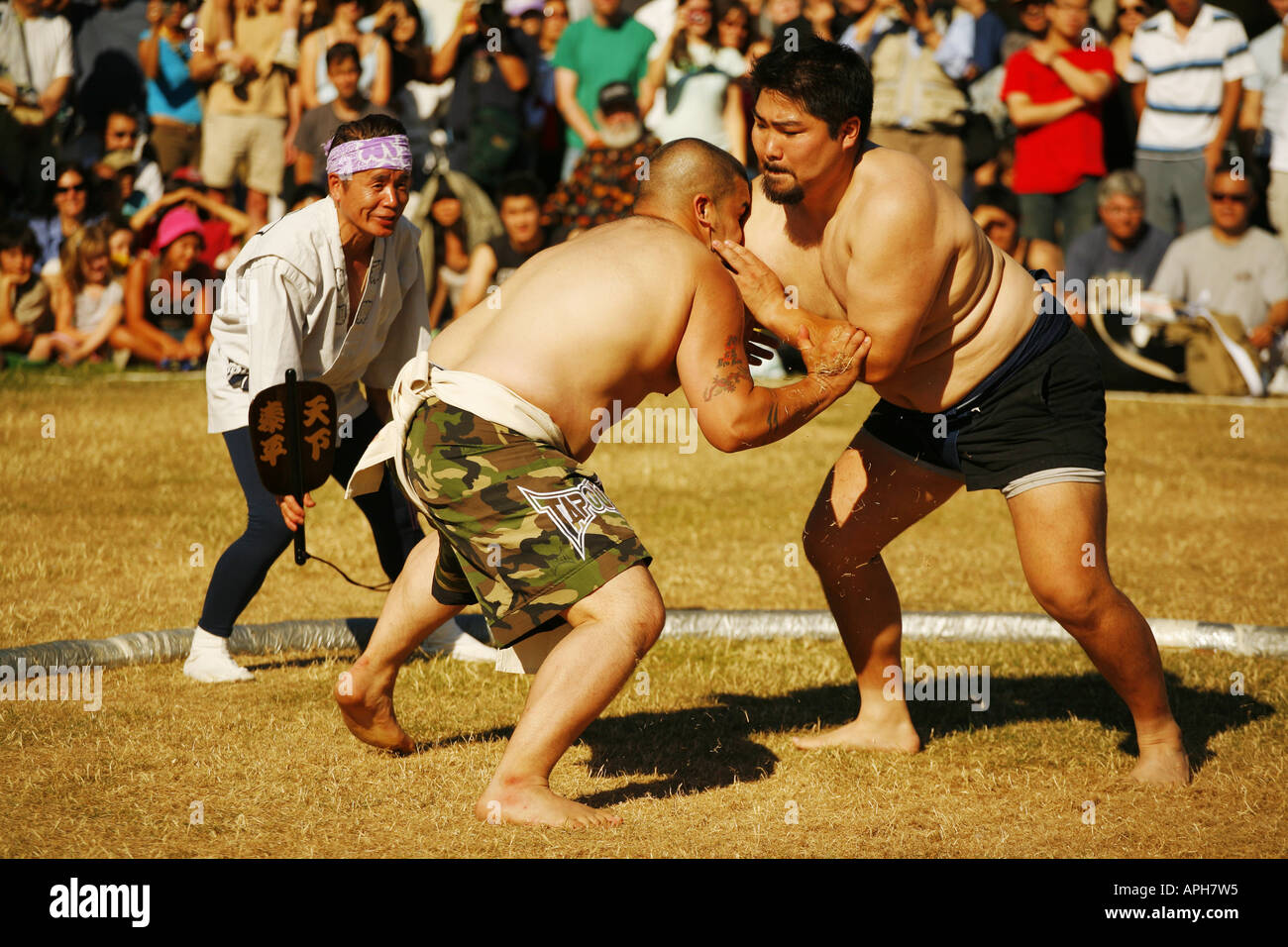 Sumo wrestling competition Stock Photo - Alamy