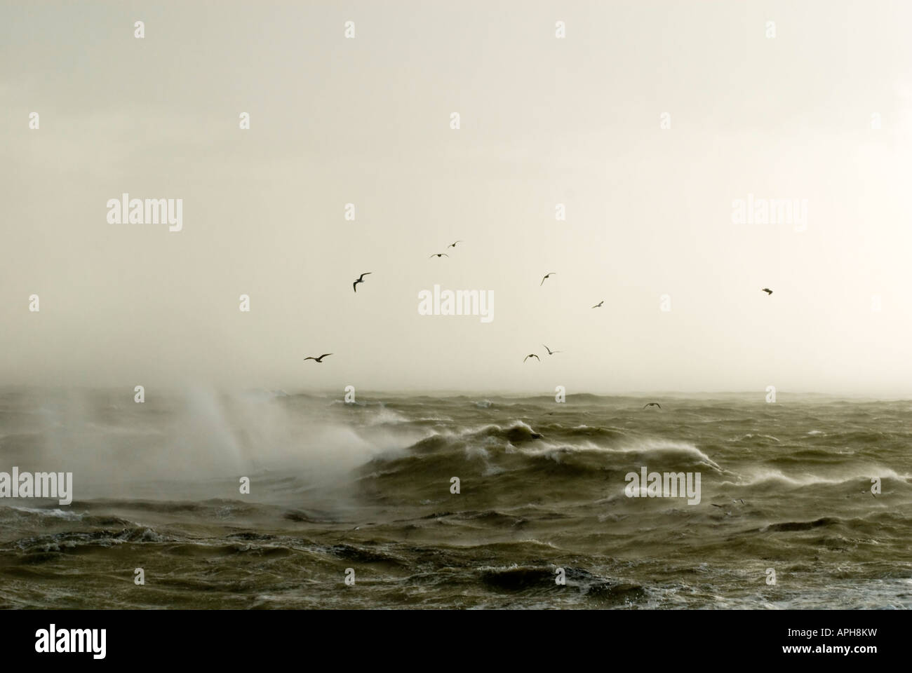 Storm English Channel Hail storm force winds Stock Photo - Alamy