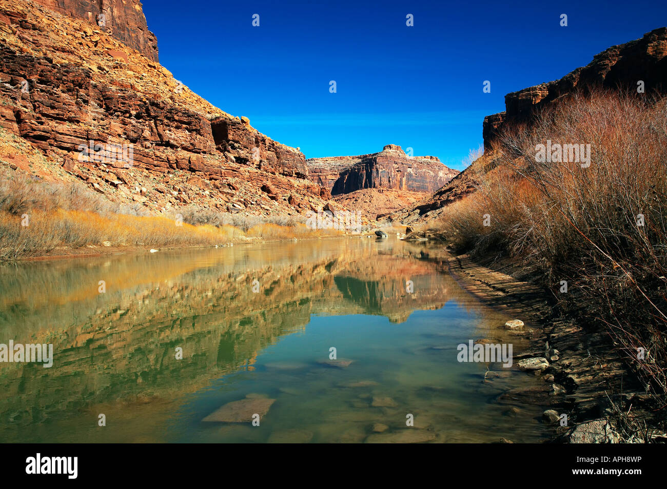 The Colorado River Arches National Park Southern Utah USA Stock Photo ...