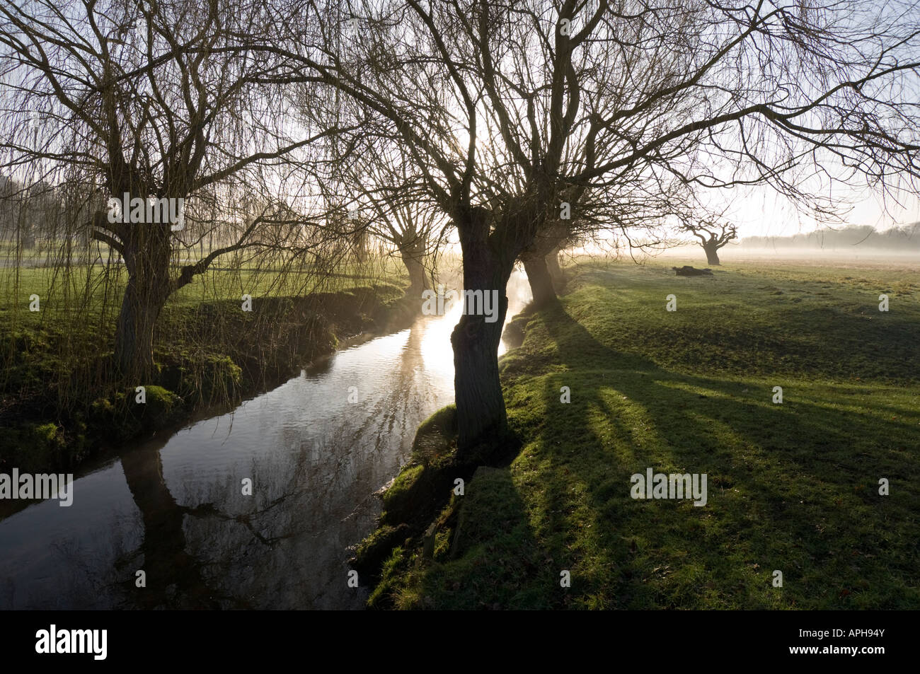 Winter in Richmond Park London UK Stock Photo - Alamy