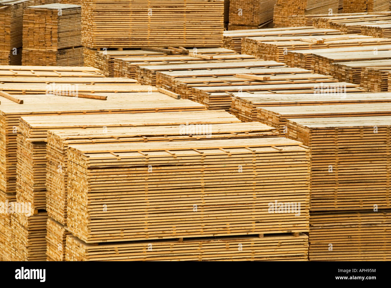 Stacks of lumber at Two-Mile Flat, Quesnel, British Columbia, Canada ...
