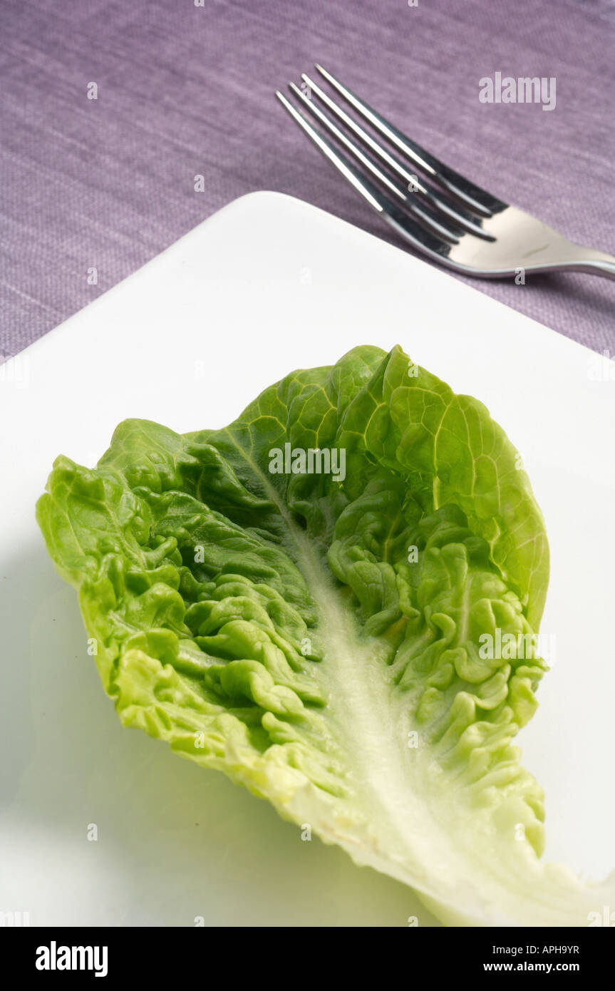 Gem lettuce on plate hi-res stock photography and images - Alamy