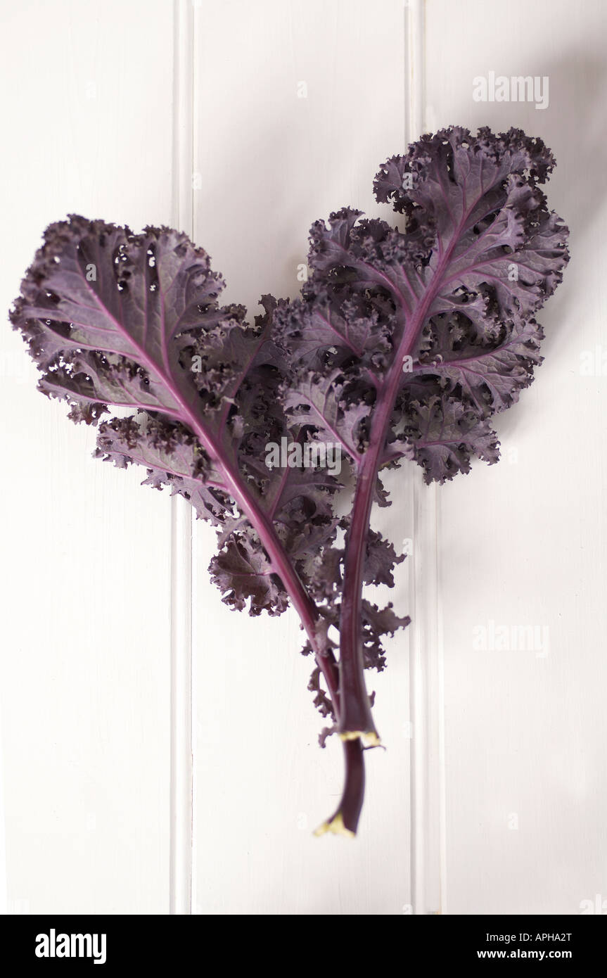 Purple kale hi-res stock photography and images - Alamy