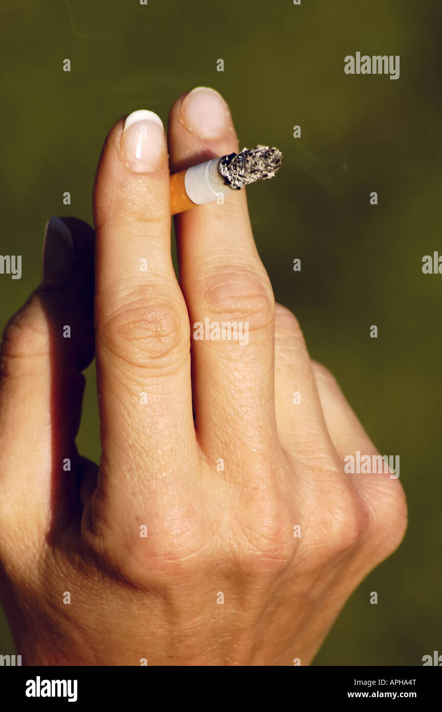 Cigarette smoke dog hi-res stock photography and images - Alamy