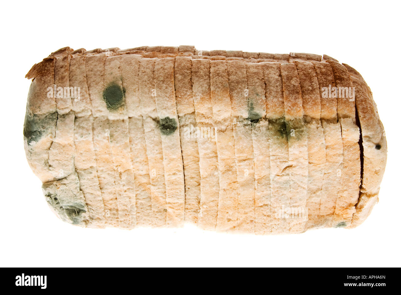 Mouldy bread hi-res stock photography and images - Alamy