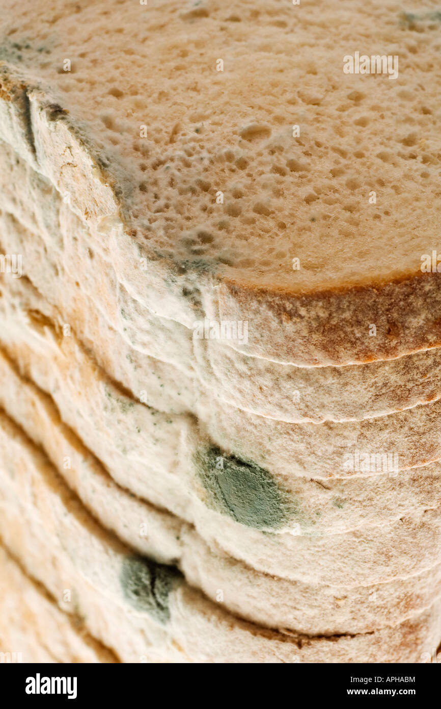 Mouldy bread hi-res stock photography and images - Alamy