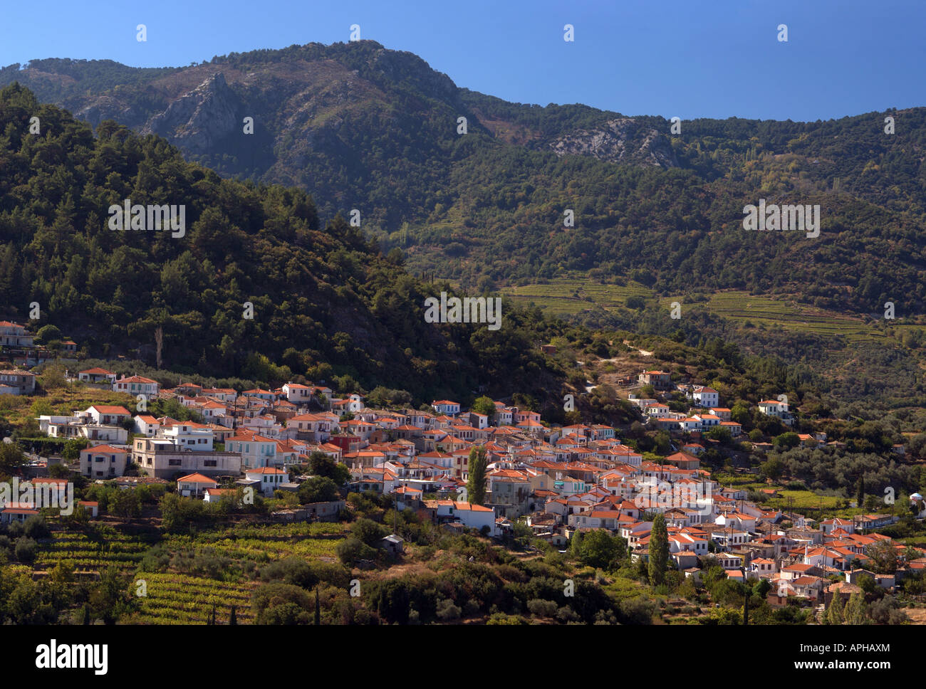 The village Vourliotes samos greece Stock Photo - Alamy