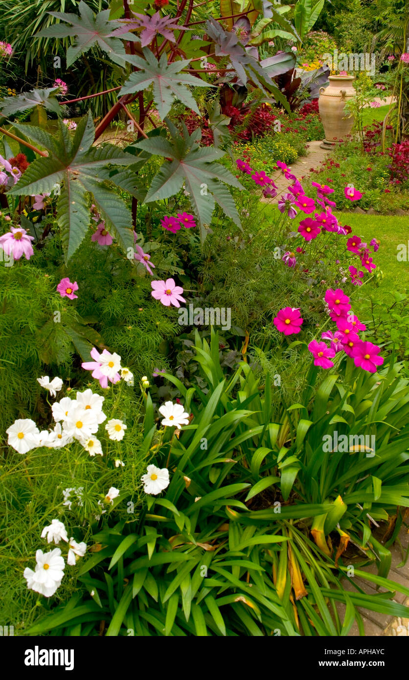 england dorset abbotsbury subtropical gardens Stock Photo - Alamy