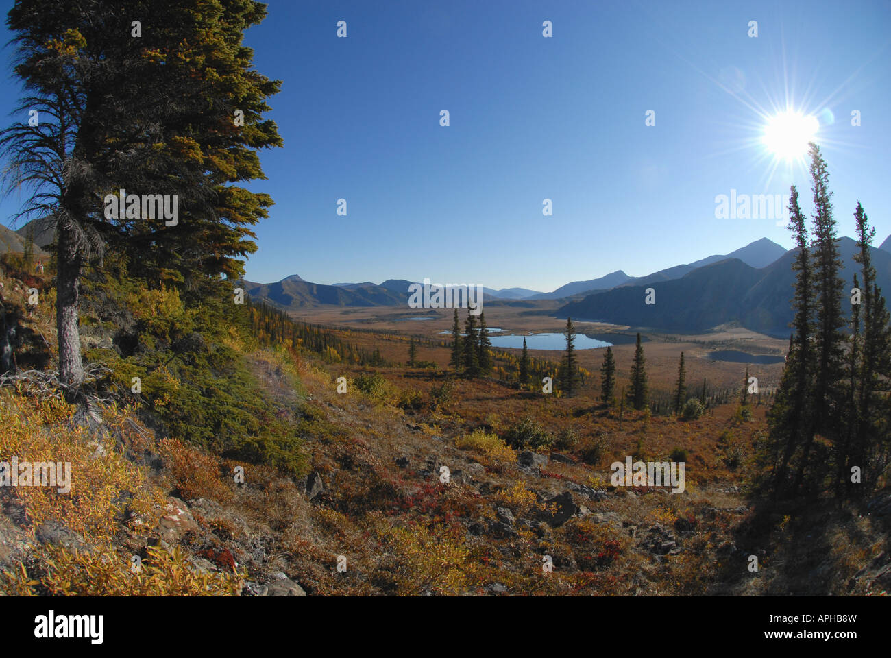 Fall colors on Summit lake, Yukon, Canada Stock Photo - Alamy