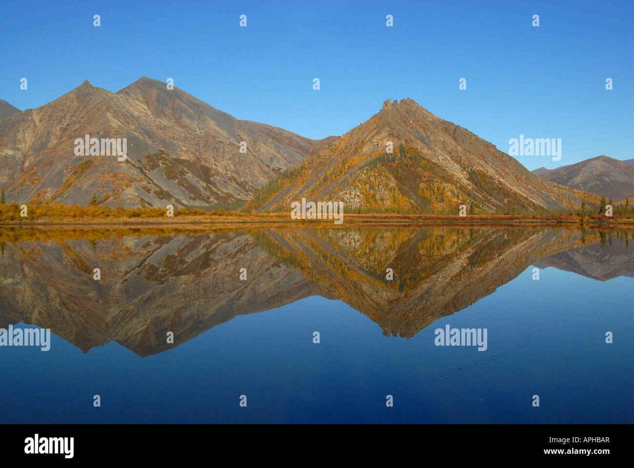 Fall colors reflecting on the Porcupine river, Yukon, Canada Stock ...