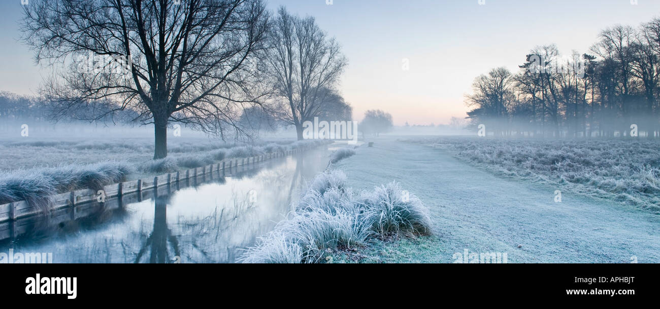 Richmond Park Winter Dawn High Resolution Stock Photography and Images ...