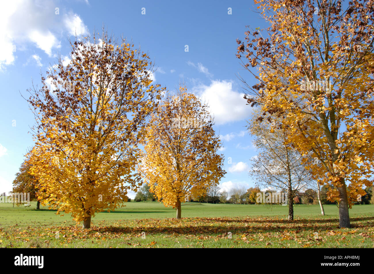Cookham golf club Stock Photo - Alamy