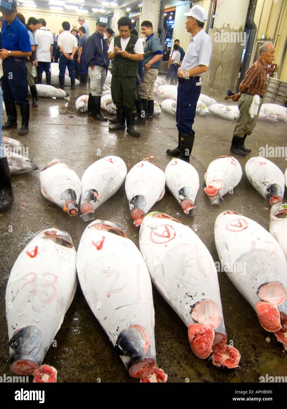 japan tokyo tsukiji fish market, auction Stock Photo - Alamy