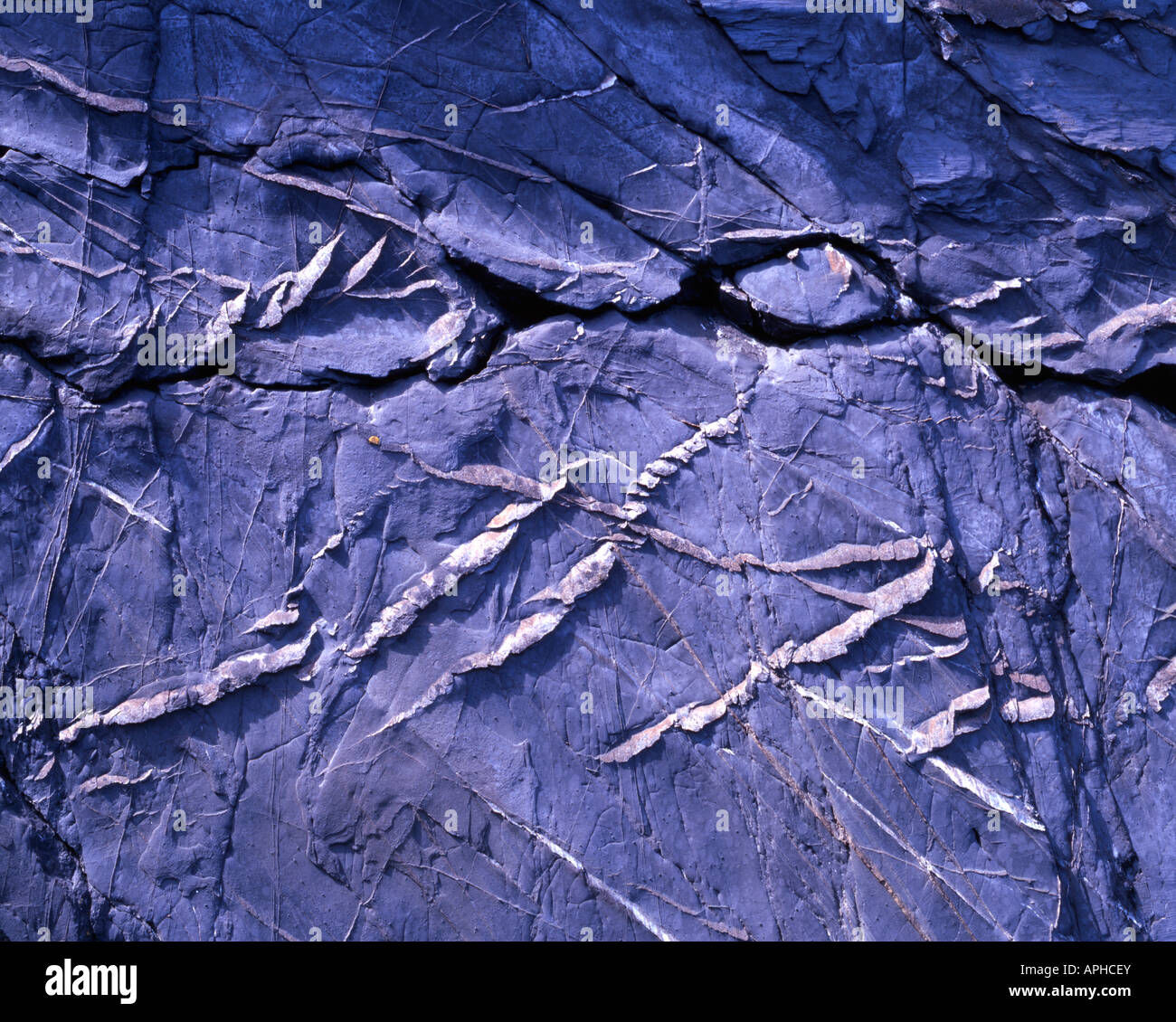Quartzite flecks in basalt on the Island of Easdale, Argyll, Scotland ...