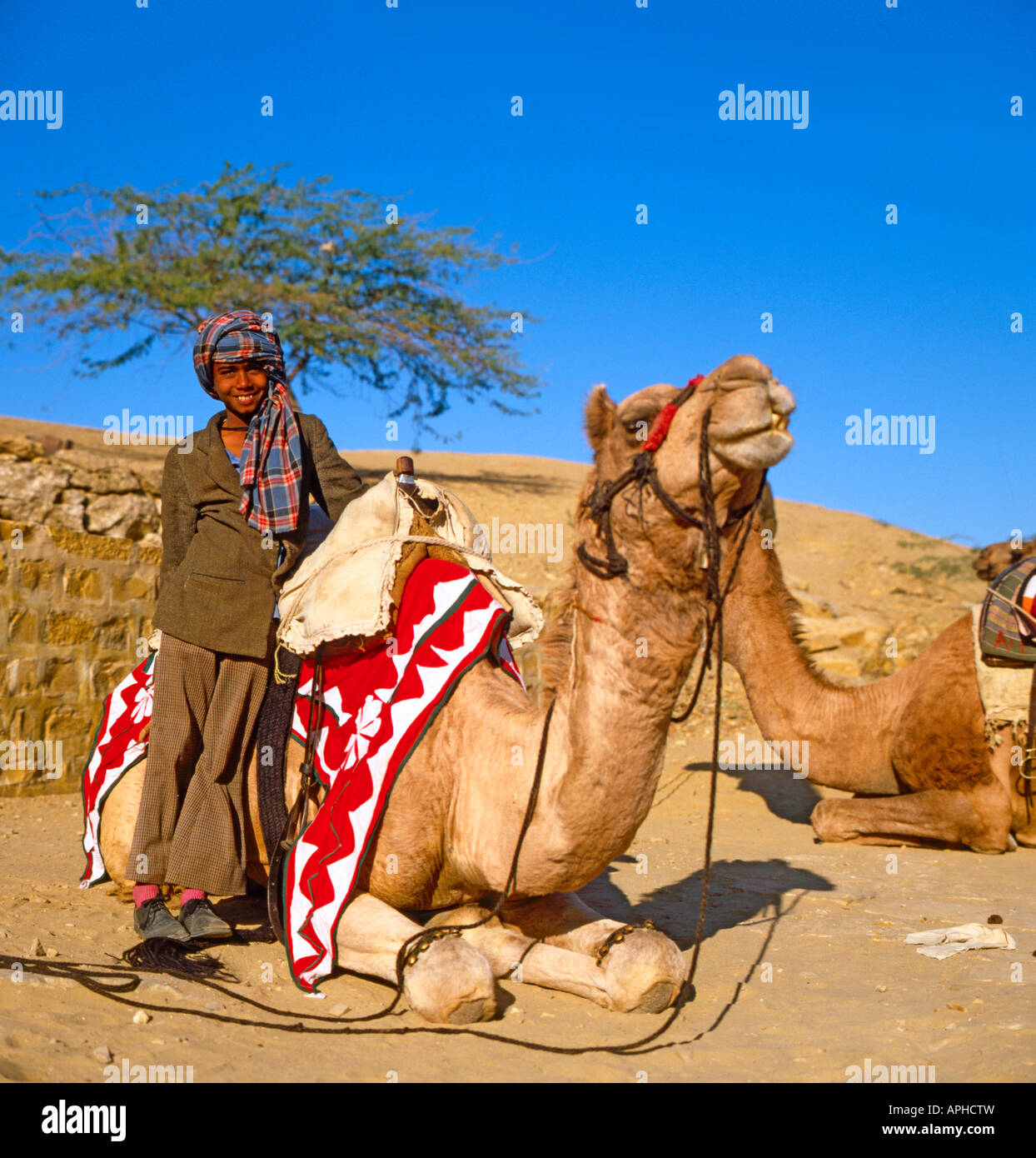 Kneeling camel hi-res stock photography and images - Alamy