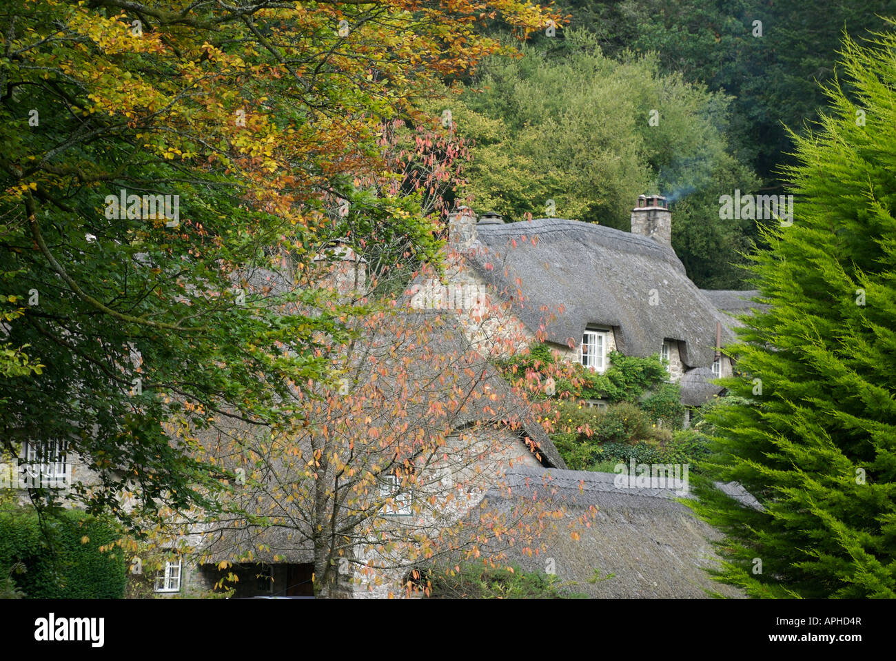 Thatched cottages, Buckland-in-the-moor, Devon Stock Photo - Alamy