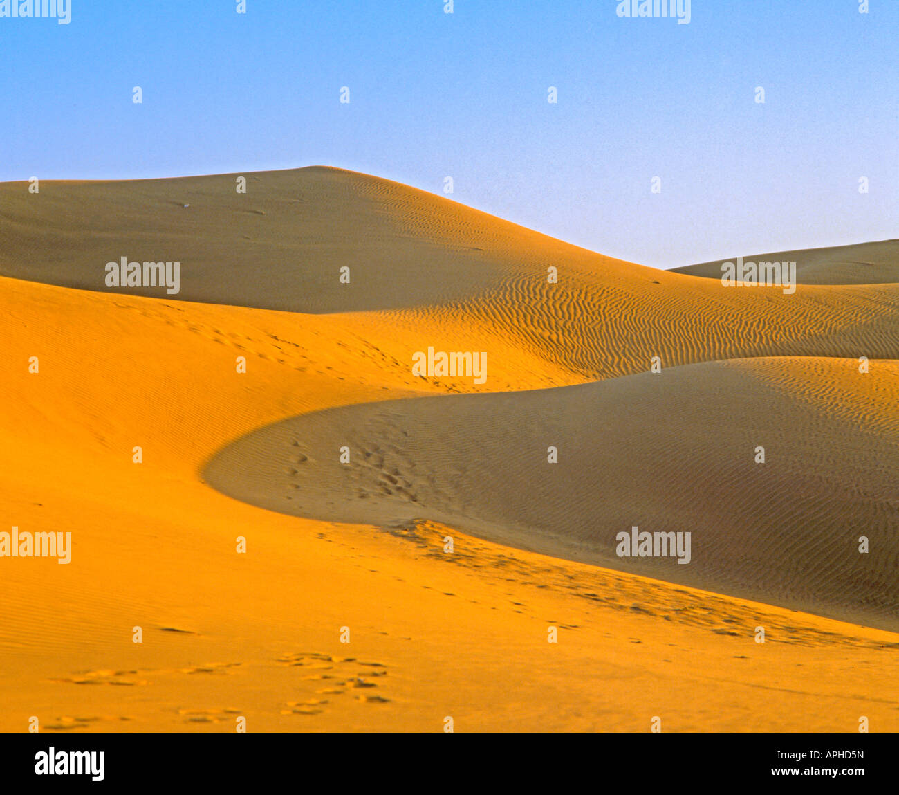 Sand dunes in the thar desert near jaisalmer hi-res stock photography ...