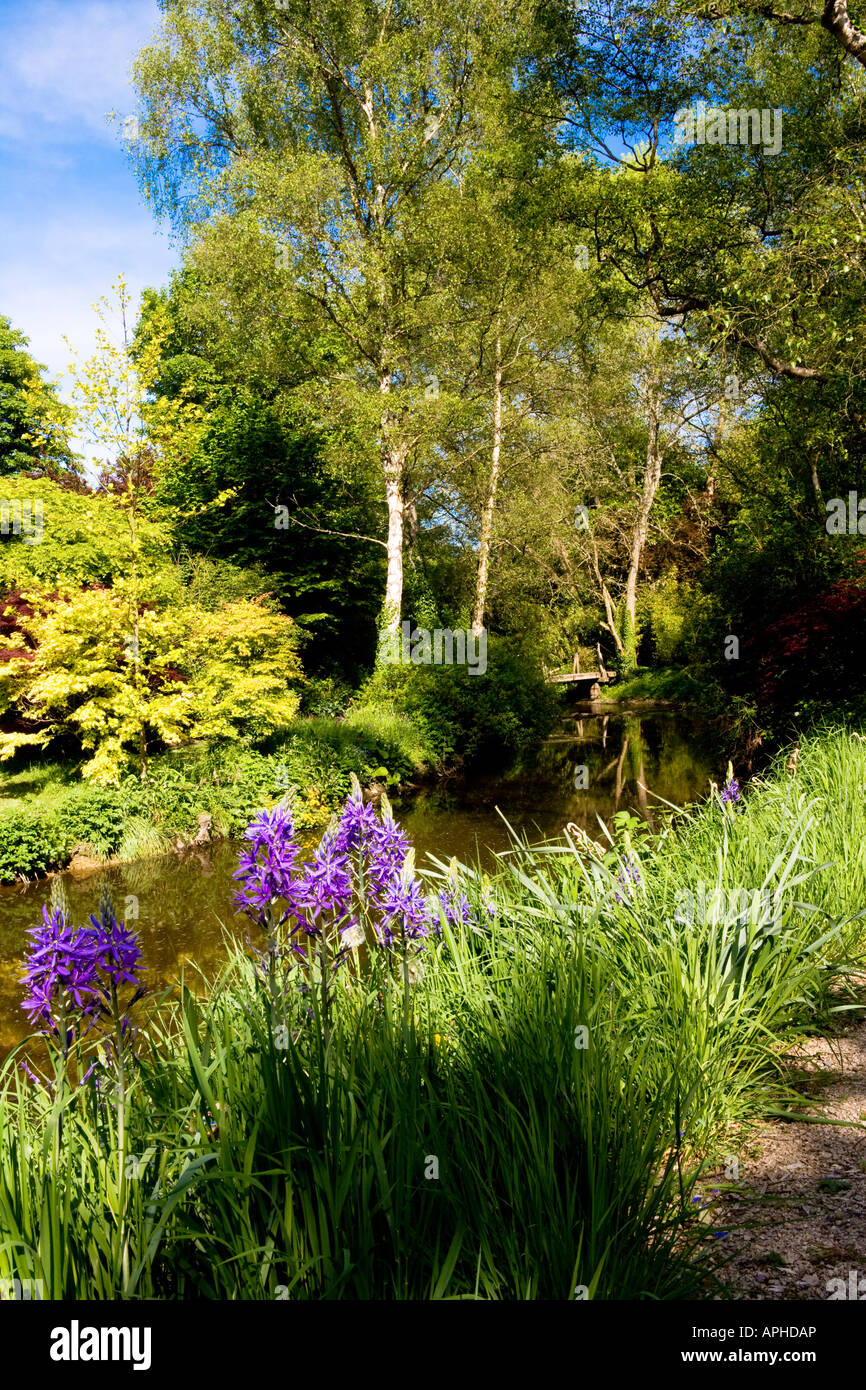 Nadder hi-res stock photography and images - Alamy