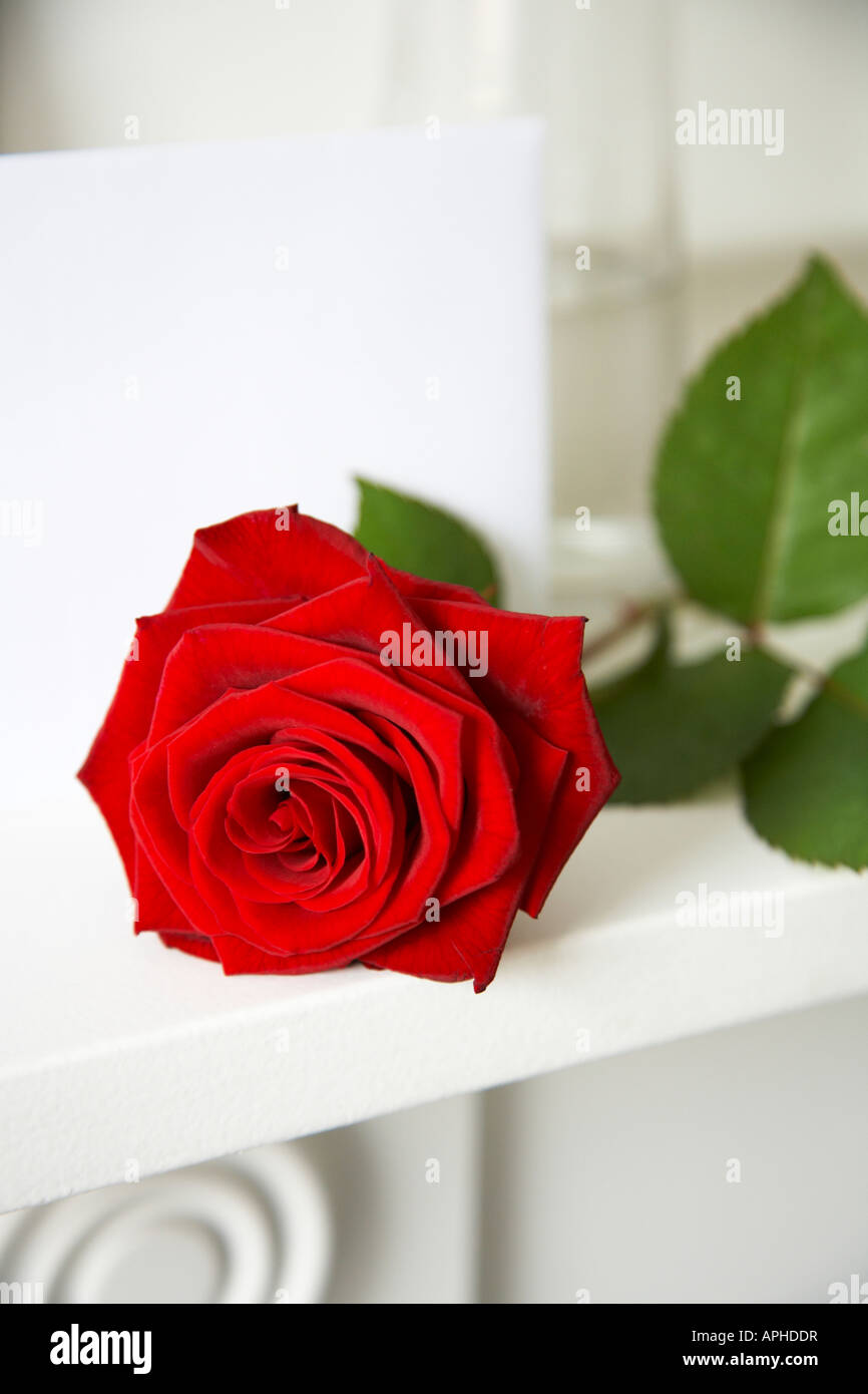 A single red rose laid on a mantle-piece with an envelope behind Stock ...