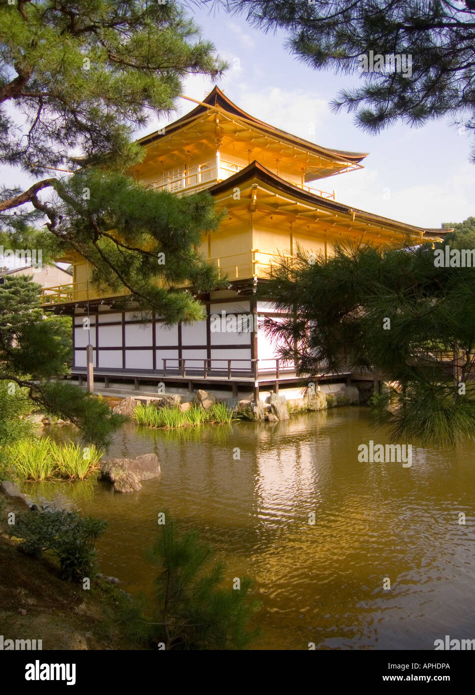 Kyoto Golden Temple High Resolution Stock Photography and Images - Alamy