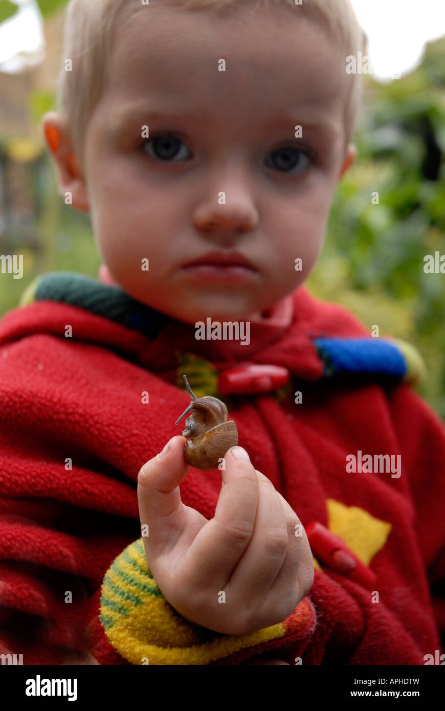 Young child with garden snail in hand Stock Photo - Alamy