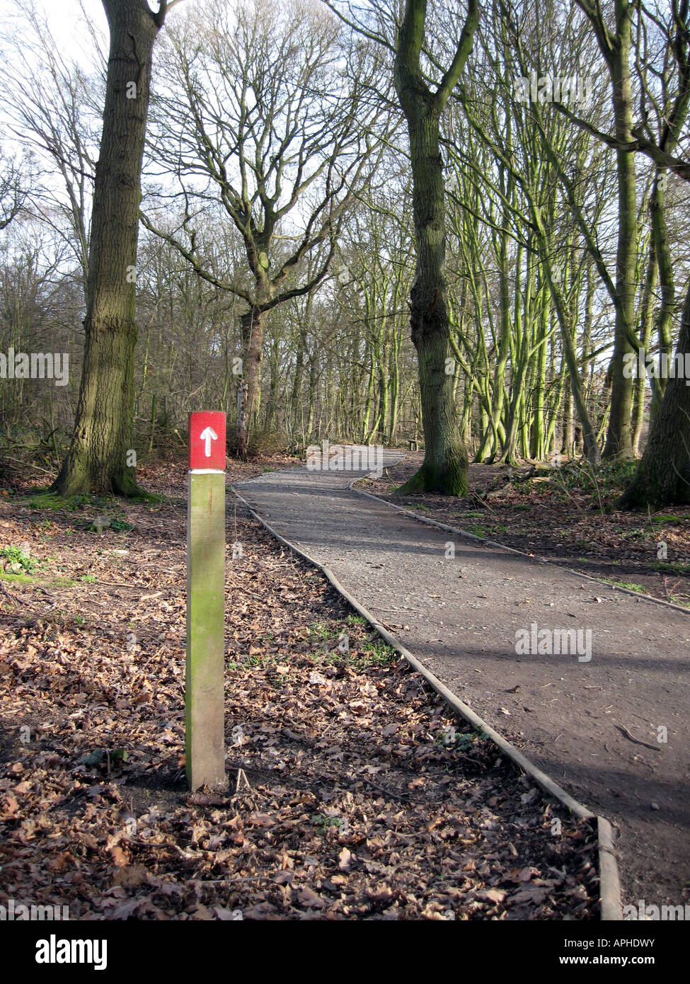 A wooden sign post to guide walkers along a trail within Norsey Woods ...