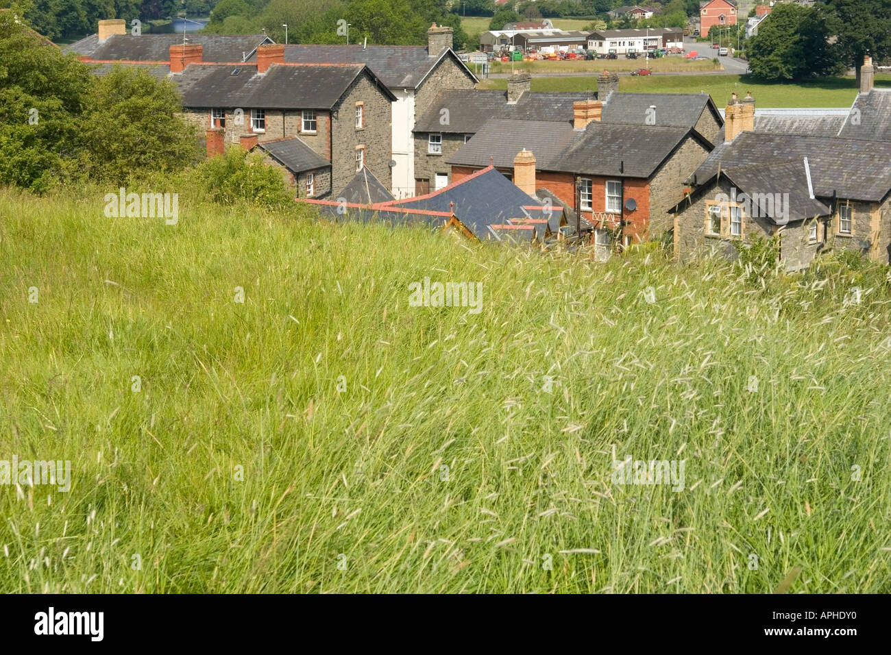 motte and bailey castle earthwork builth wells powys mid wales Stock ...