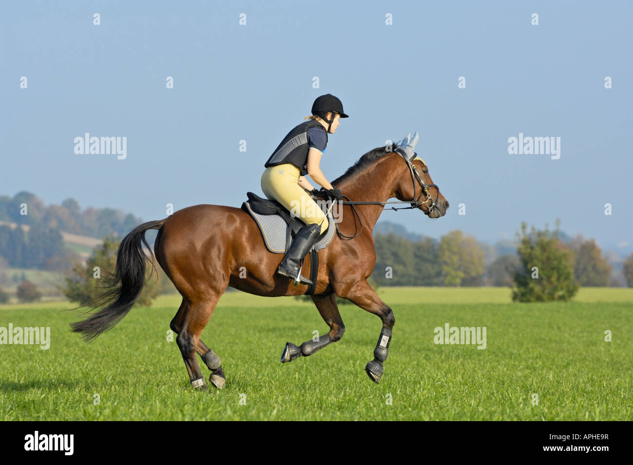 Horse and rider galloping cross country hi-res stock photography and ...