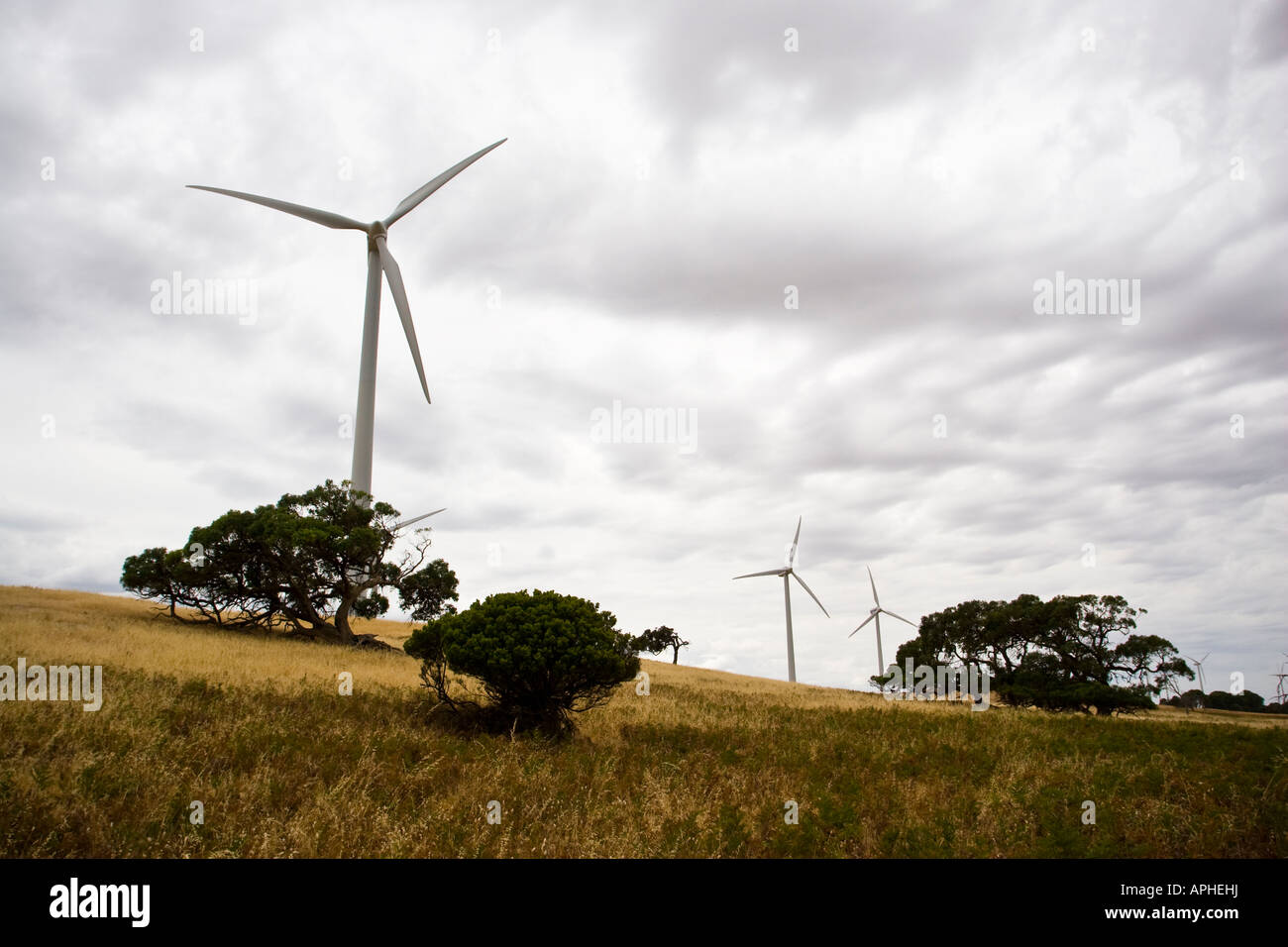 Millicent South Australia High Resolution Stock Photography and Images ...