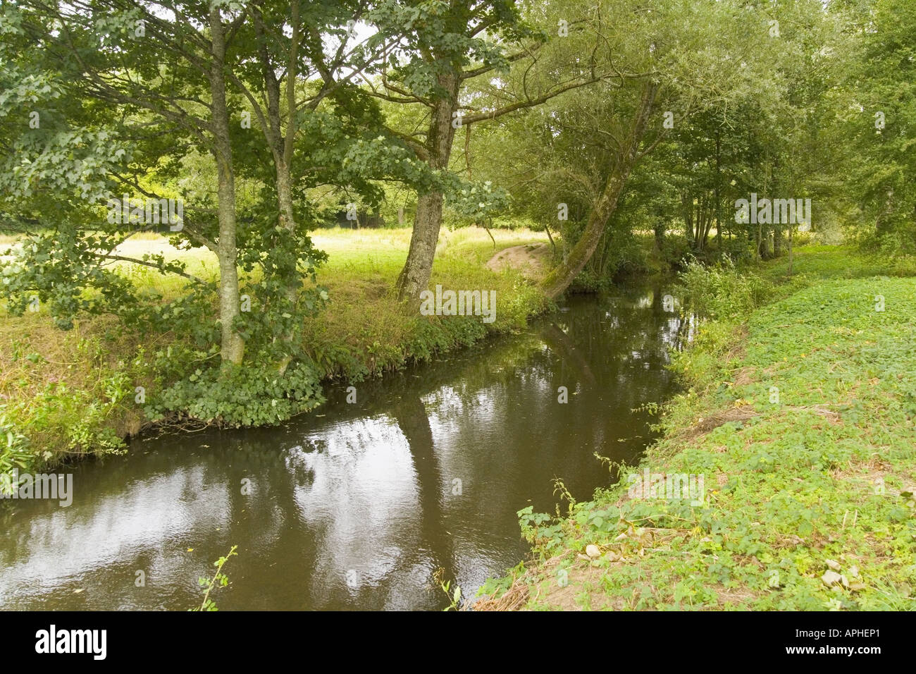 frounds of forde abbey estate dorset england river axe Stock Photo - Alamy