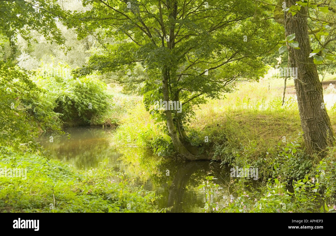 frounds of forde abbey estate dorset england river axe Stock Photo - Alamy