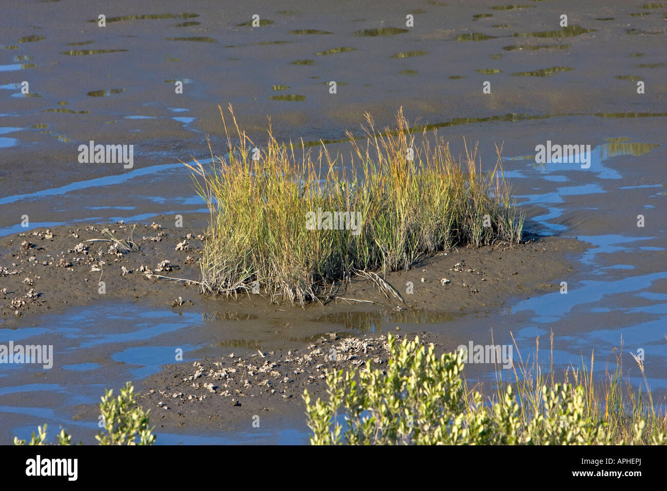 Tourist and Vacation Views of Historical Cedar Key Florida Stock Photo ...