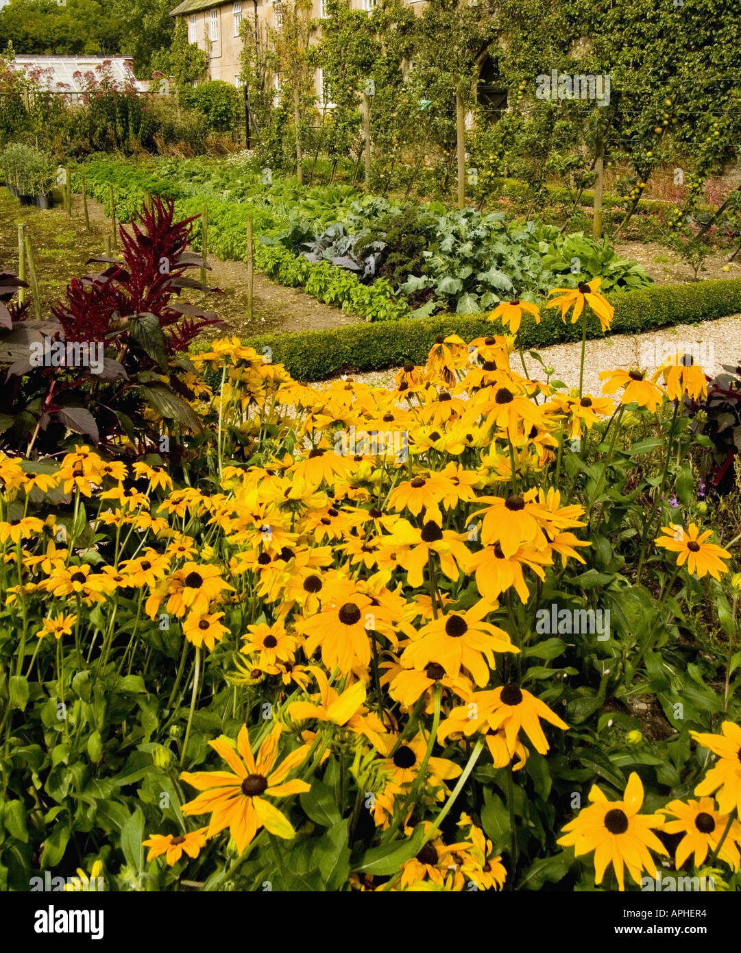 frounds of forde abbey estate dorset england Stock Photo - Alamy