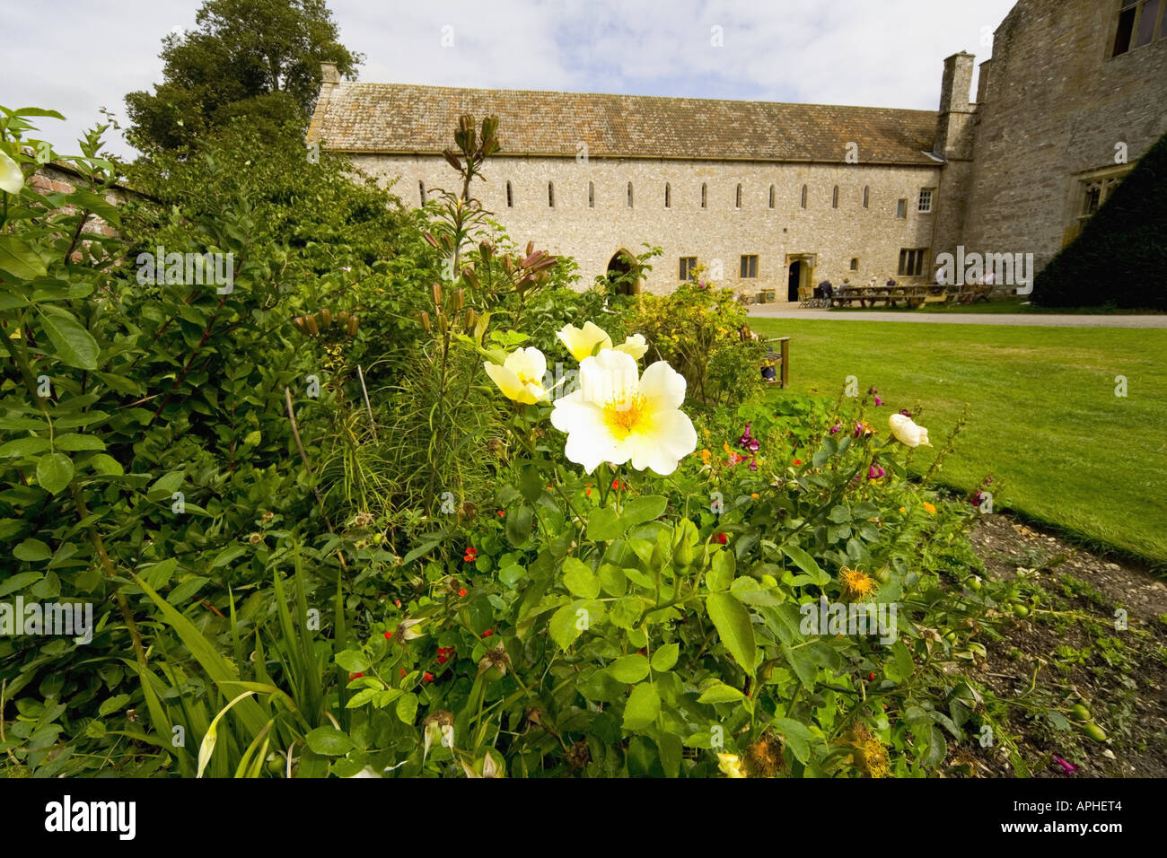 frounds of forde abbey estate dorset england Stock Photo - Alamy