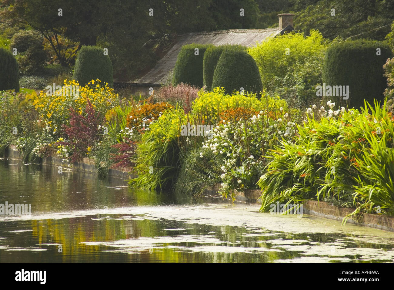 frounds of forde abbey estate dorset england Stock Photo - Alamy