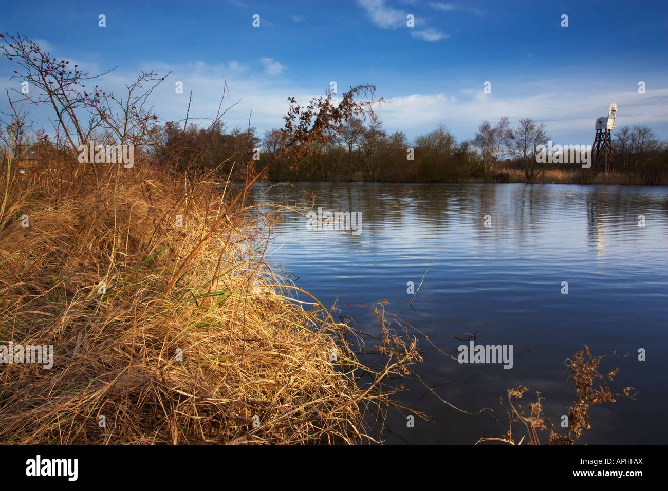 A scene beside the River Bure near Horning on the Norfolk Broads Stock ...