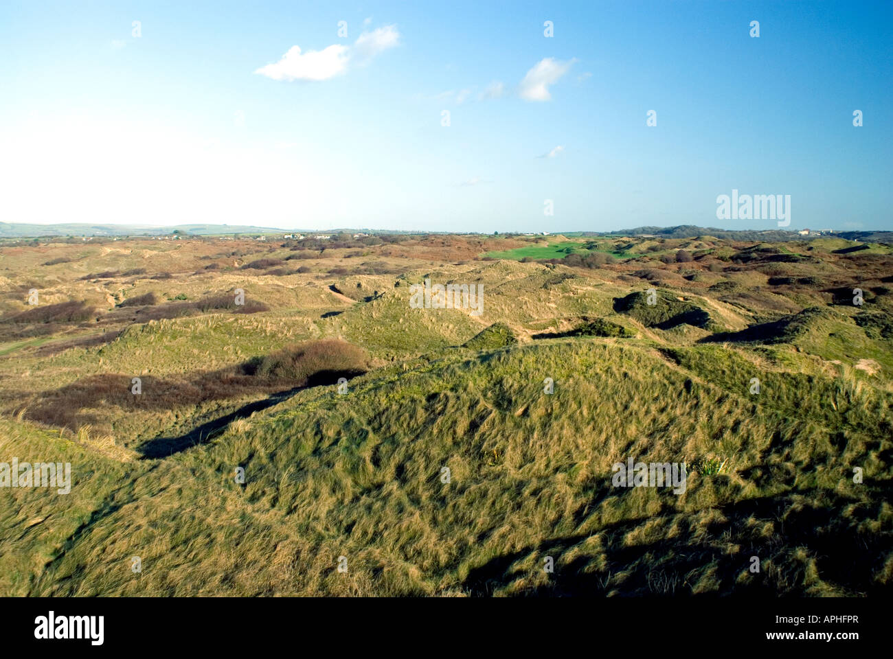 established dune system kenfig burrows national nature reserve near ...