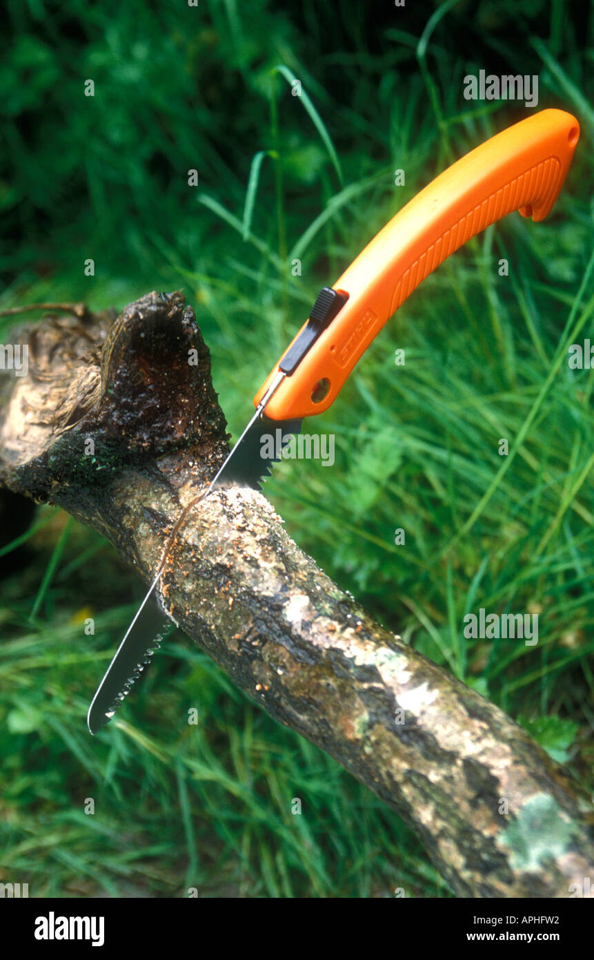 Pruning Saw in log Stock Photo - Alamy