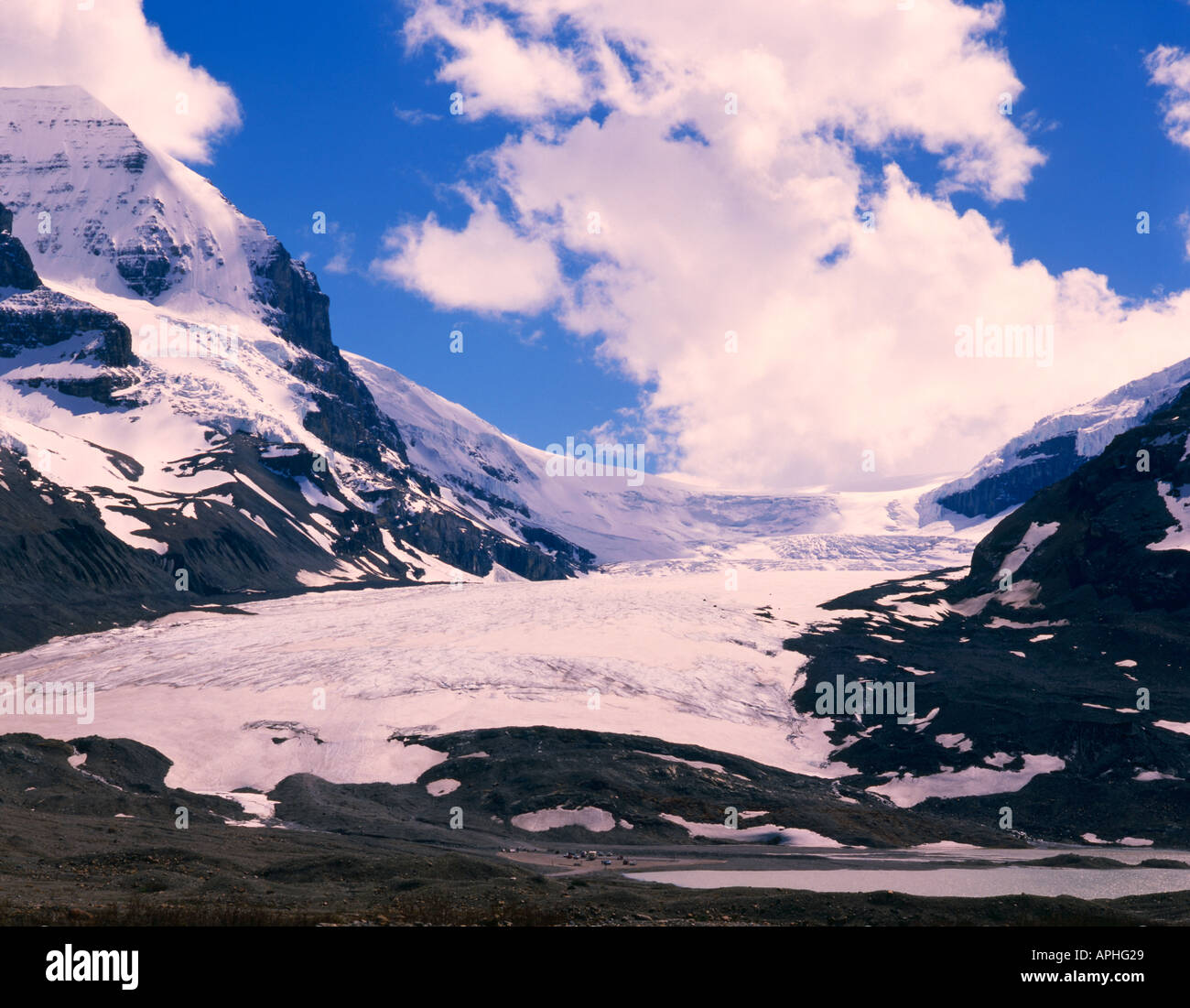 Icefield glacier hi-res stock photography and images - Alamy
