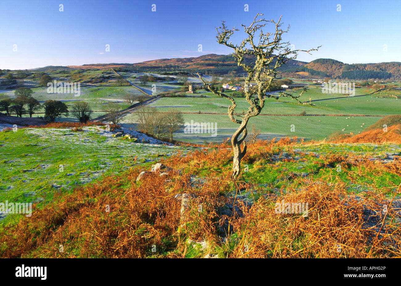 A cold frosty winter landscape looking down on Orchardton Tower with ...