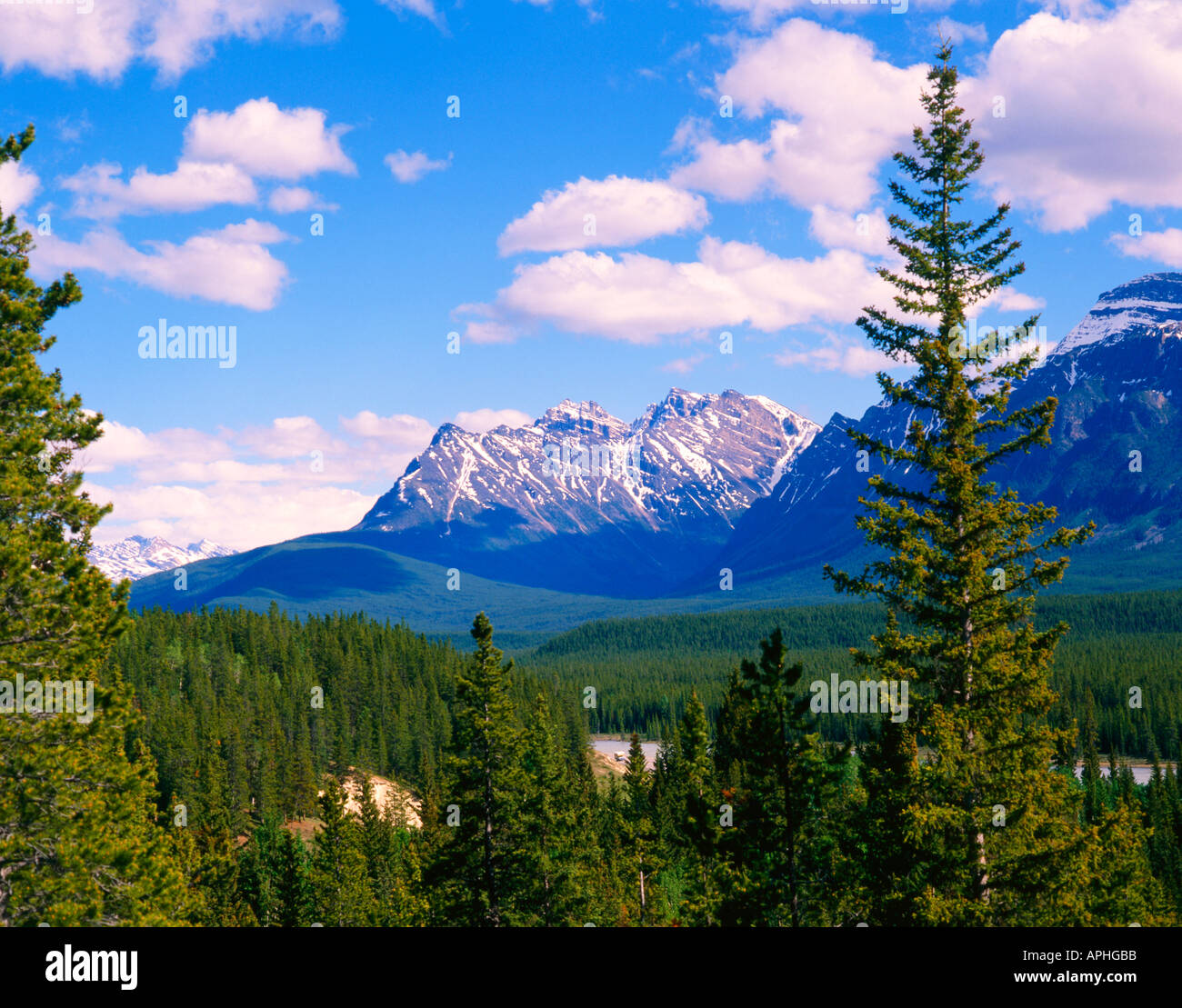 Canada alberta banff forest mountains hi-res stock photography and ...