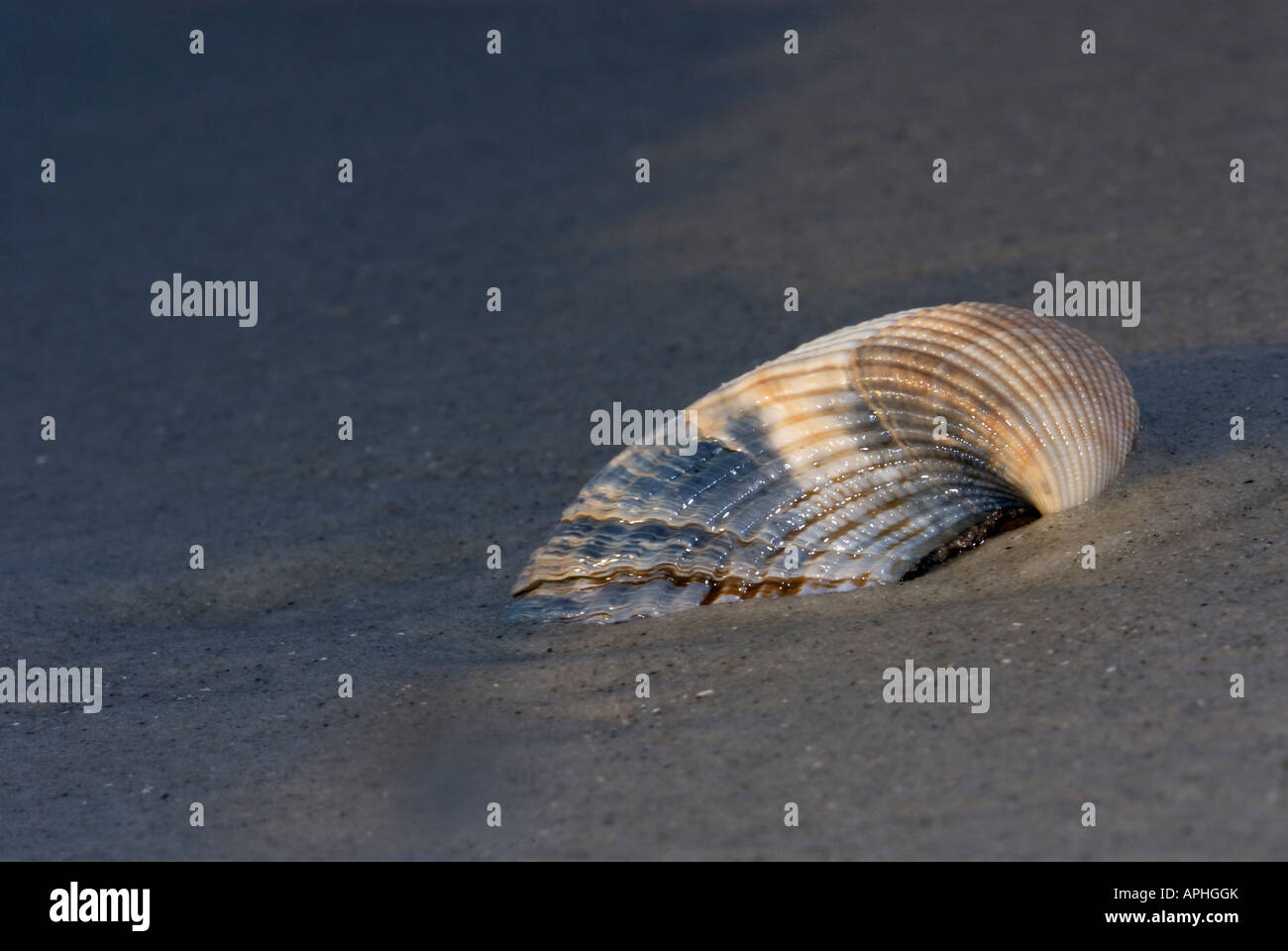 Van hyning hi-res stock photography and images - Alamy