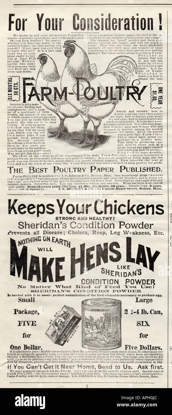 Chicken related advertising Stock Photo - Alamy