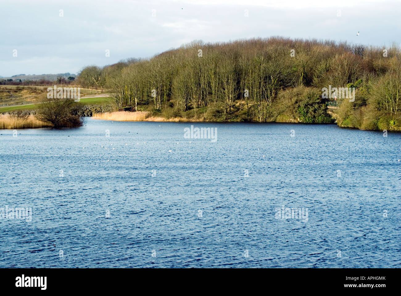 Cosmeston lake country park hi-res stock photography and images - Alamy
